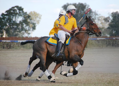 Rugby on horseback: Polocrosse | Bush Babe of Oz
