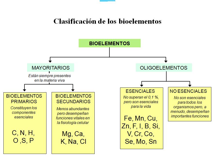 Comunicaciones científicas: Biología