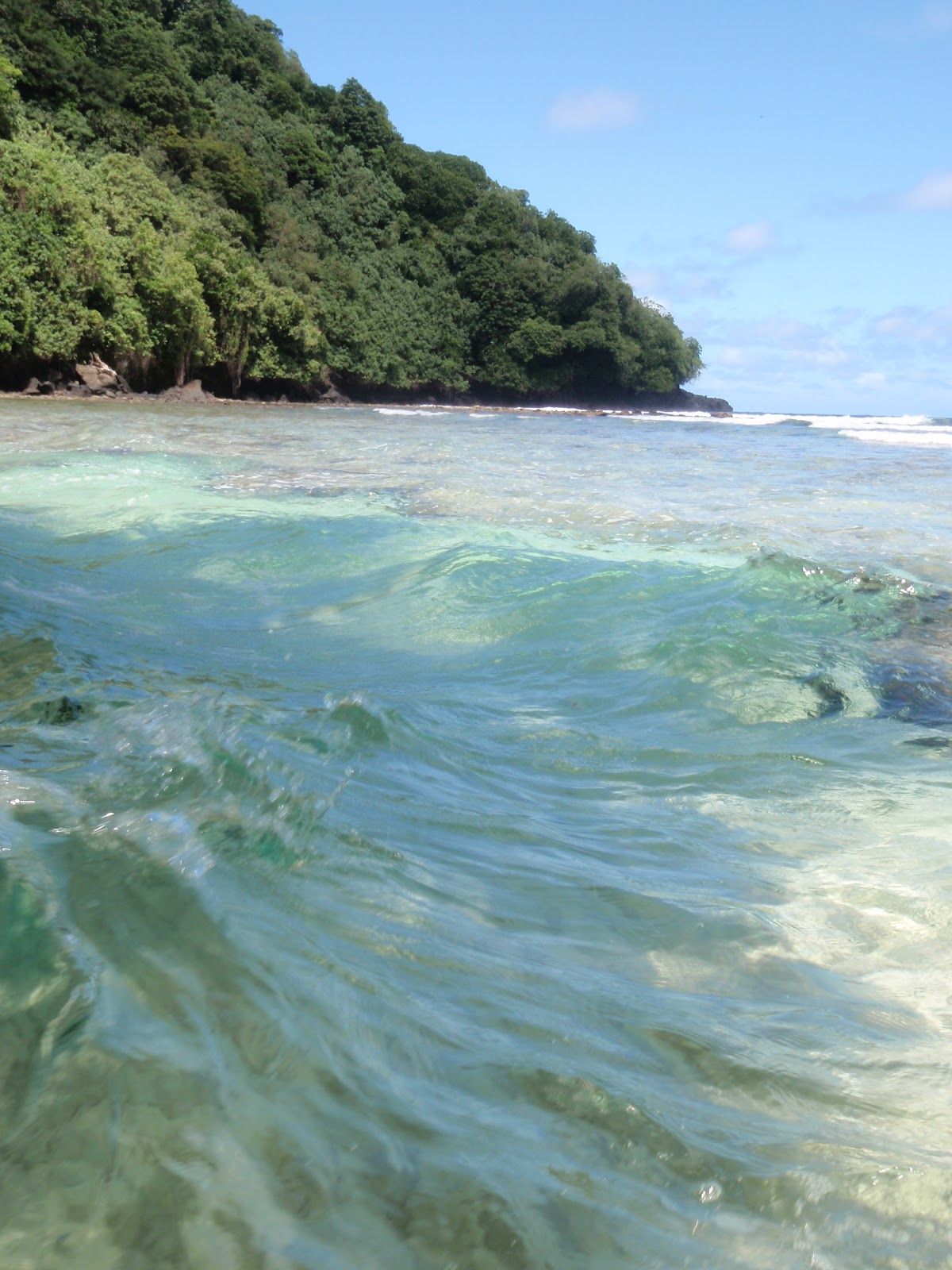 Looking at Orion Upside-Down: Fagatele Bay National Marine Sanctuary