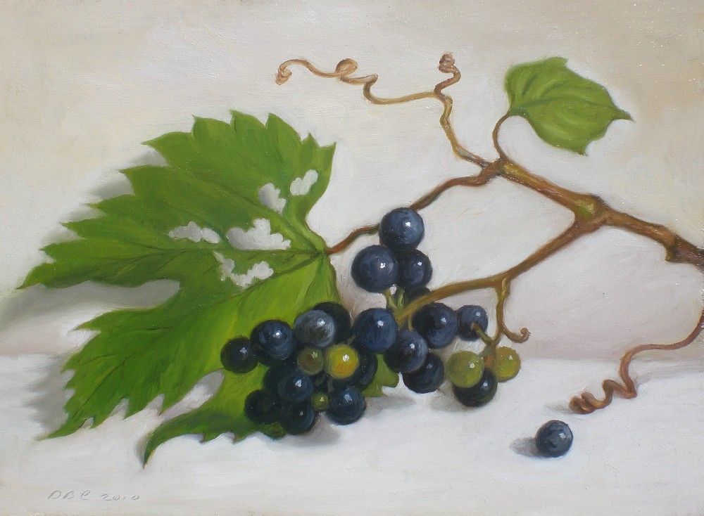 Debbie's Art Space: "Grapes on the Vine"