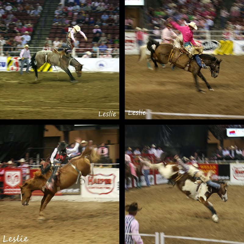 lester lou and the aarons too: Days of 47 Rodeo