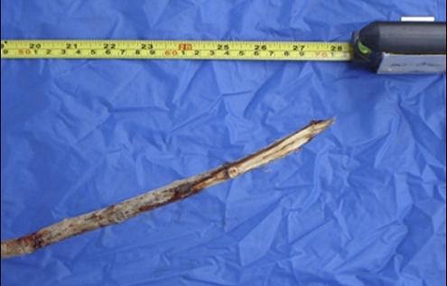 Ionian Enchantment: Chimpanzees hunt with spears