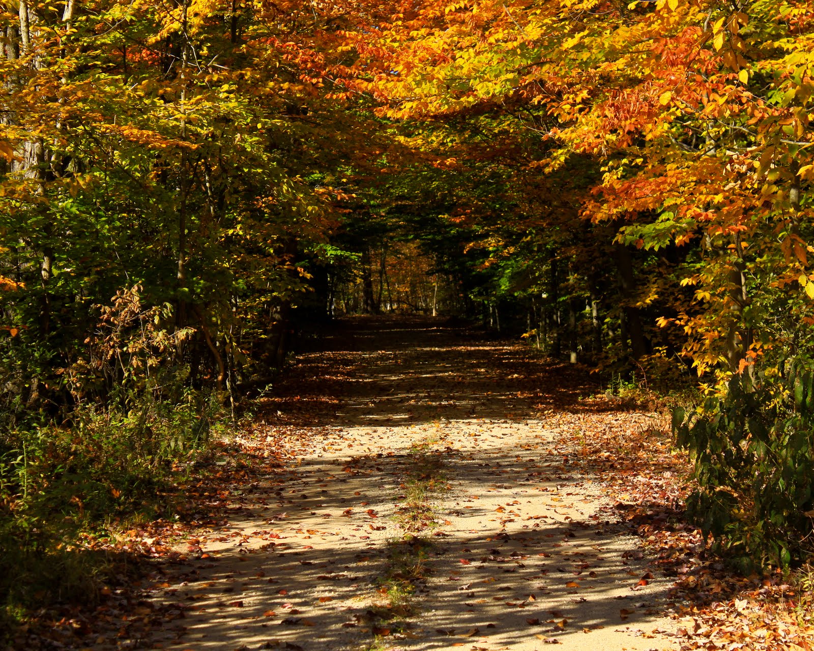 Kaitlyn's Korner: Northern Michigan Fall Beauty