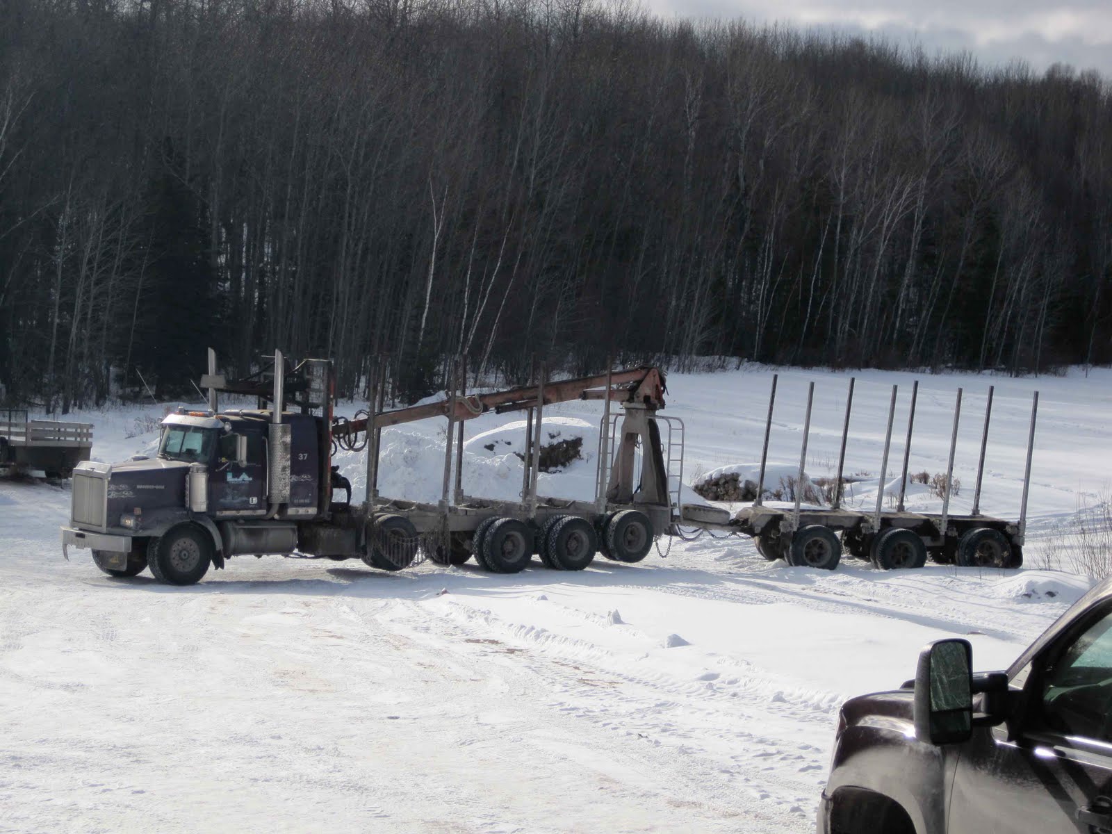 Log House Progress - Angara at Blind River: Selective poplar harvest ...