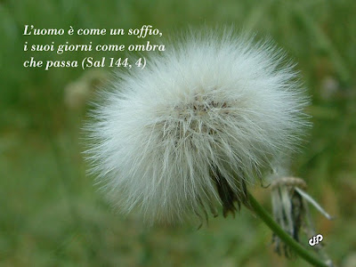 Passalaparola: 88 - LA VITA E' UN SOFFIO