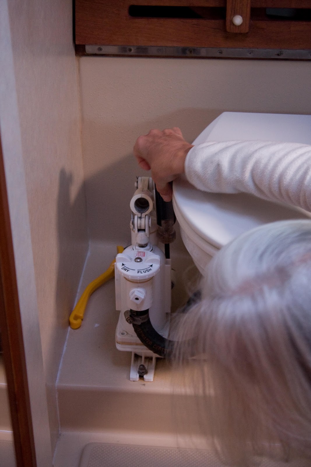 plodding in paradise: A BRIDGE HALF OPEN