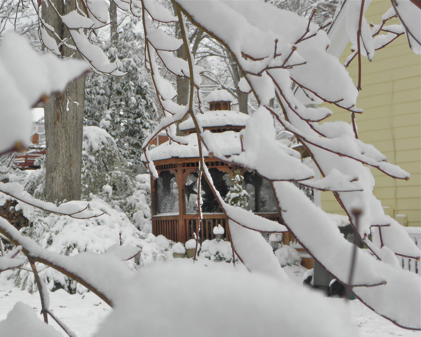 A Breath of Fresh Air: Baby it's cold outside...........