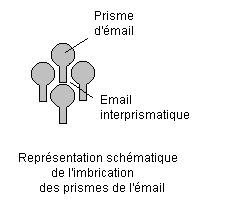 Généralités en Anatomie dentaire