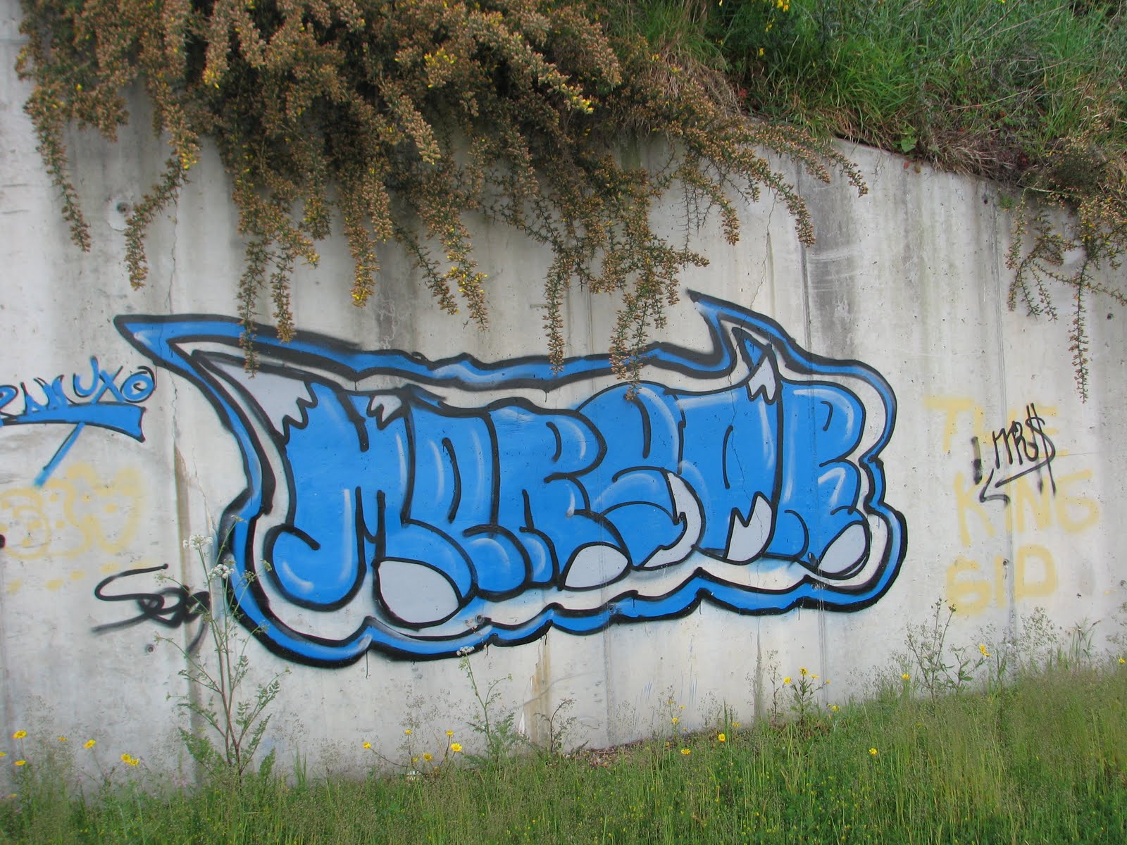 Tunel vía rápida ,Marsor (SFC) - Graffitis en kmb2