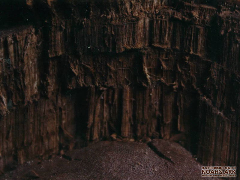 The Chinese NAMI Team - Culture, Race & Economy - AALBC.com’s ...