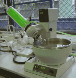 Reportes de alimentos: DETERMINACION DE LIPIDOS (EXTRACTO ETEREO)