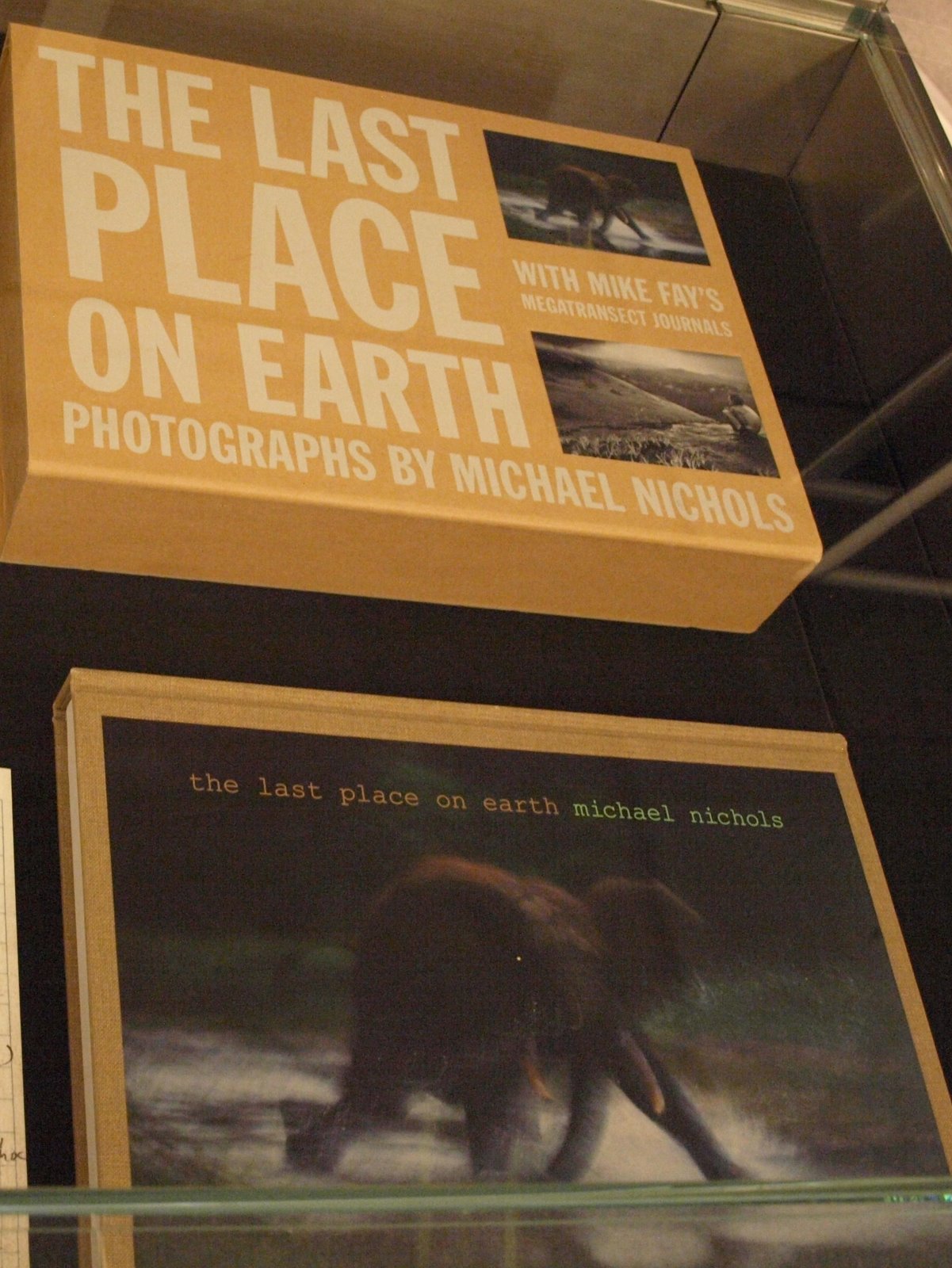 That Man Ray... From Venice: MEET THE “INDIANA JONES OF PHOTOGRAPHY ...