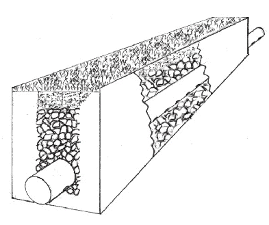 Amenajarea gradinii de langa casa in articole si imagini: Cum se ...