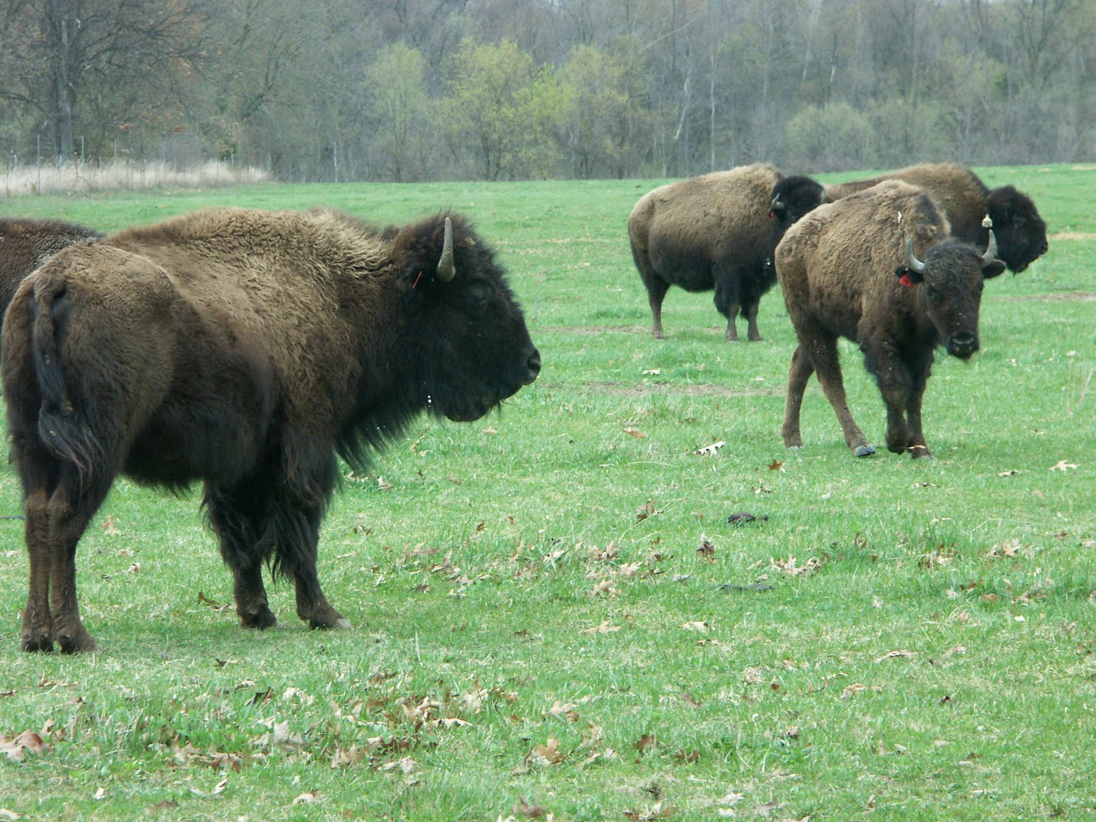 Kriste's Adventures: To Hell (Michigan) and Back