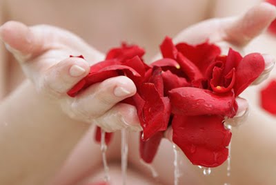 The Hot Mess Corner | Blog de belleza, moda y tendencias. : Hemos ...