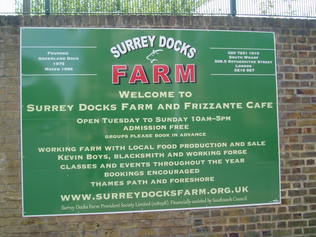 A Creative Day at Surrey Docks Farm