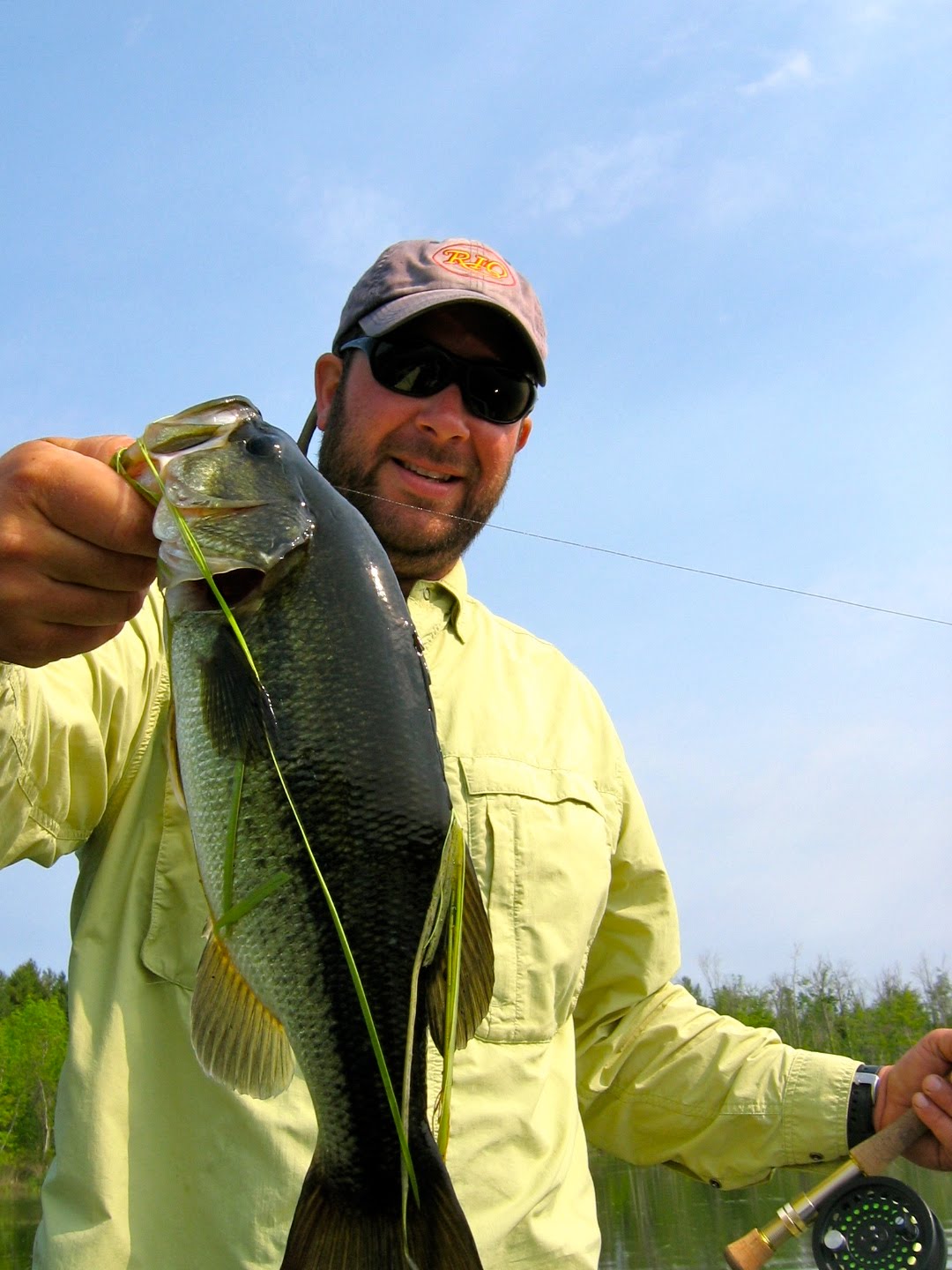 Wild River Angler: Bass Masters Classic