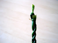 Experience Hawaii - Enjoy Honolulu Festival -: Native Hawaiian Plants ...