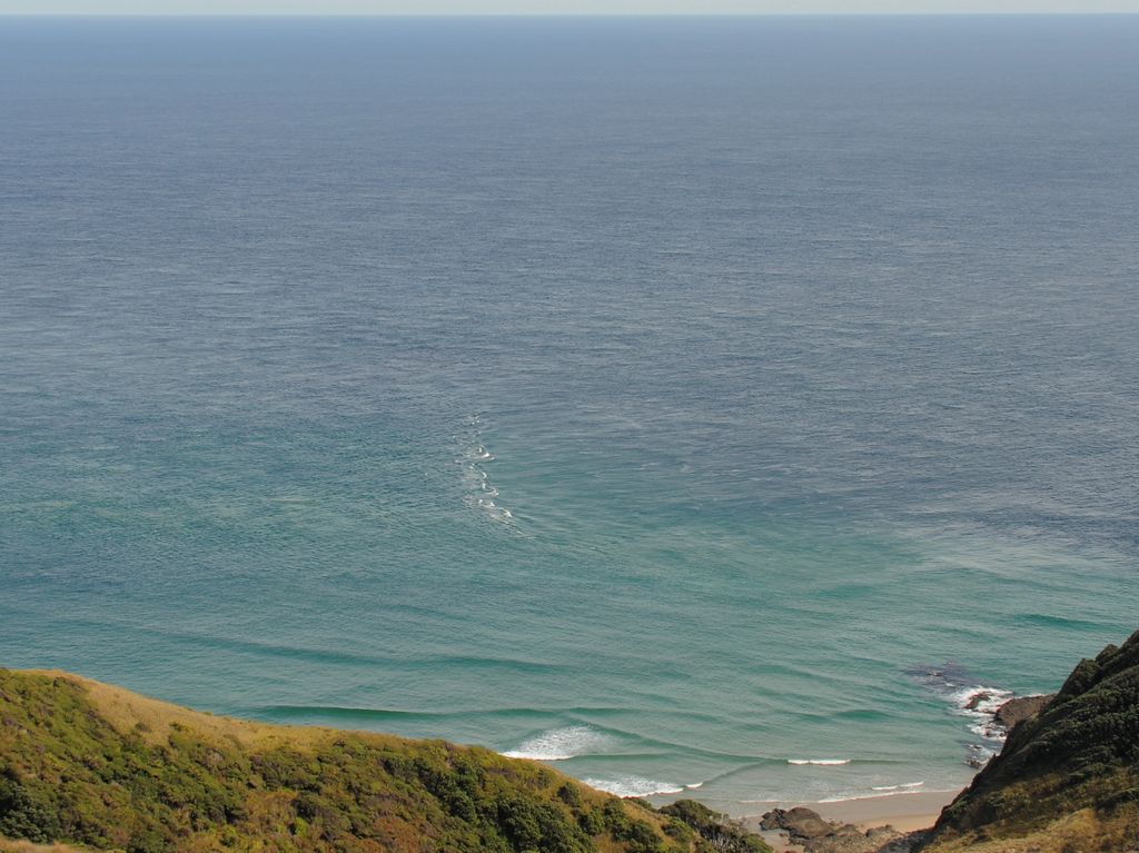 Там, где цветёт лантана: Cape Reinga & the giant Kauri trees