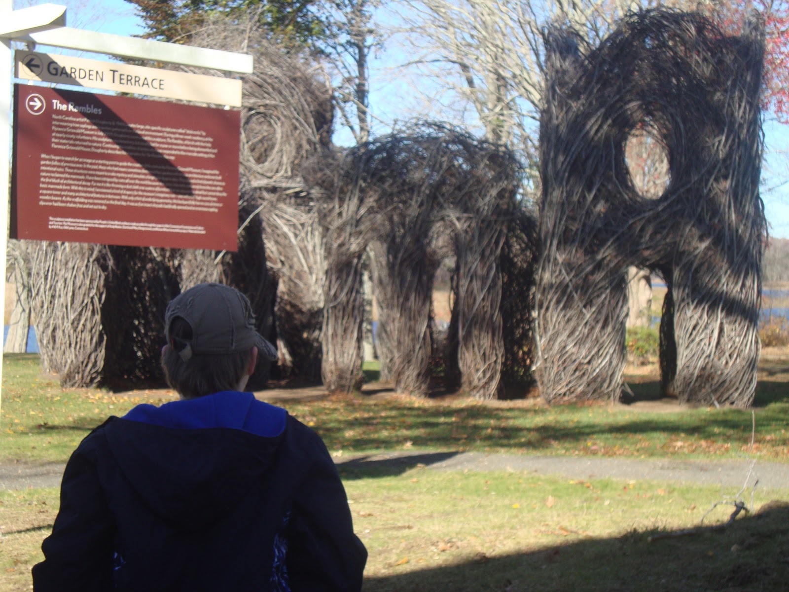 Color Cat Studios: Impressionist Art Colony - Exploring!