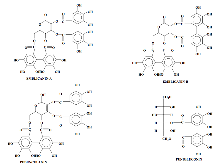 Amla: The Fruit of Life: Active components