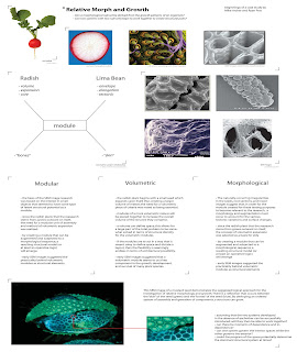 M. Archer // Fall 2007: SEM phase 1 research