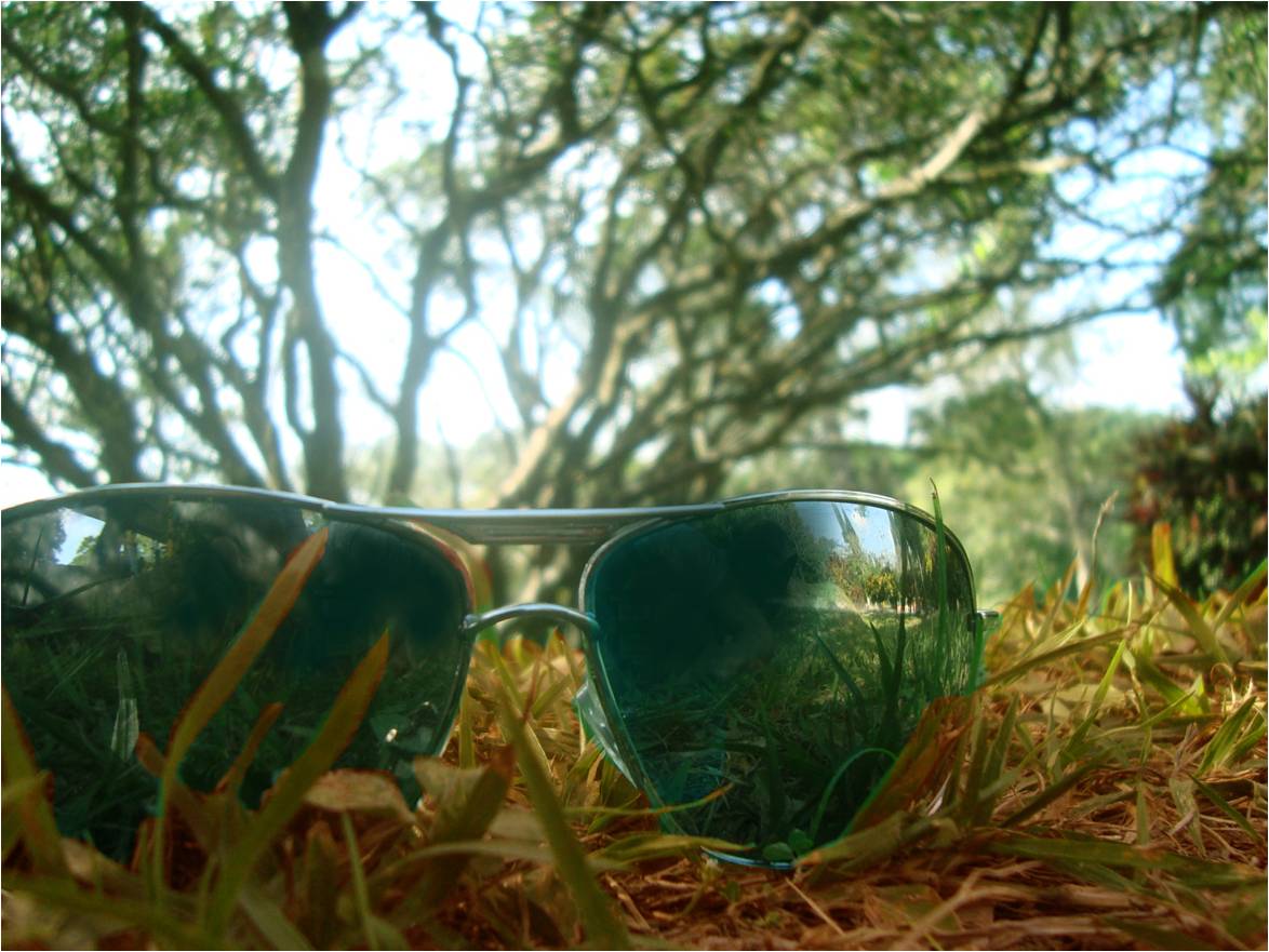 Tendencias Creativas: Las mejores primeras fotos.