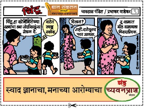 Chintoo: July 29, 2002