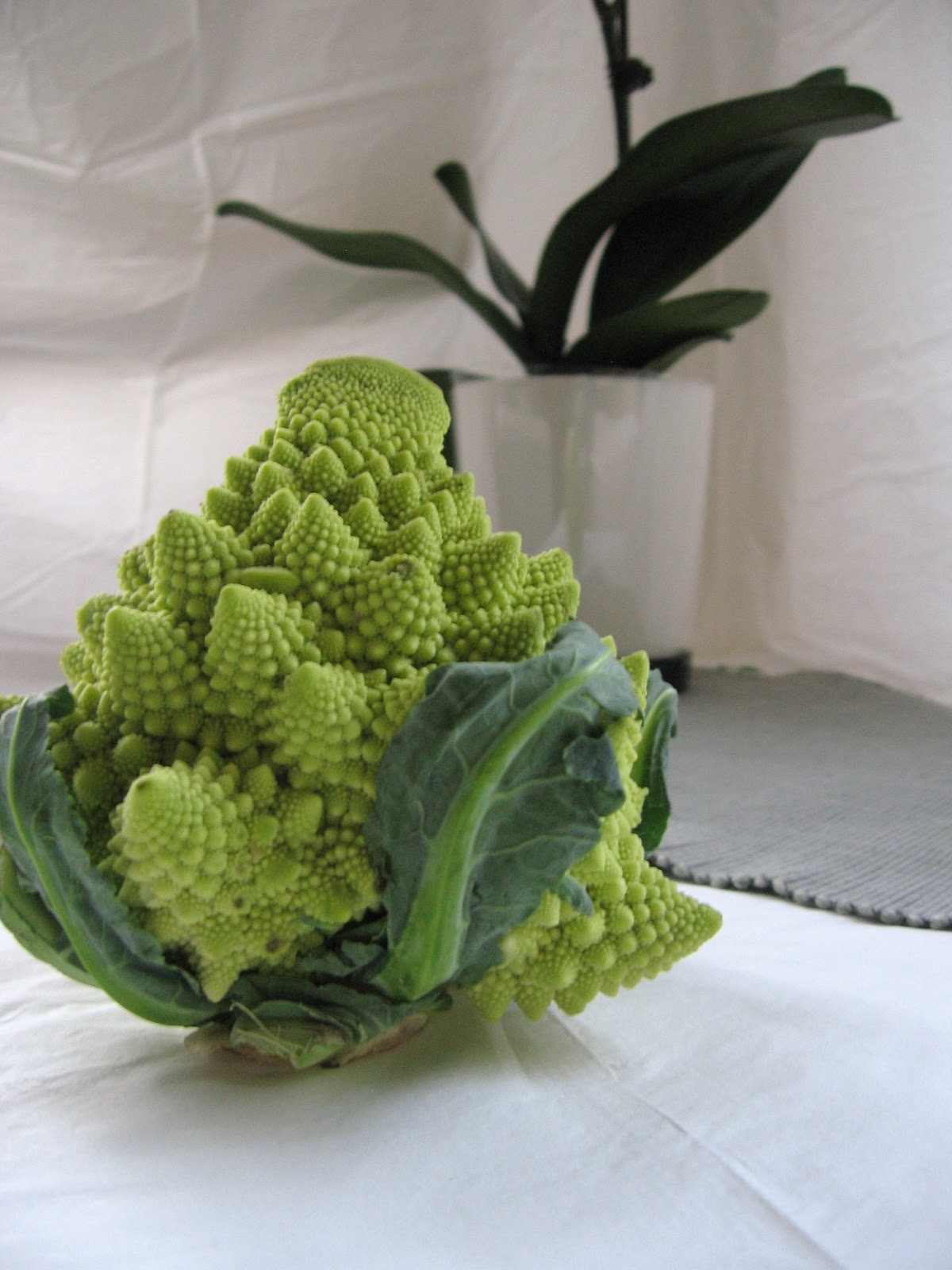 Foodwanderings: Romanesco Floret Fritters in Beer and Honey Batter