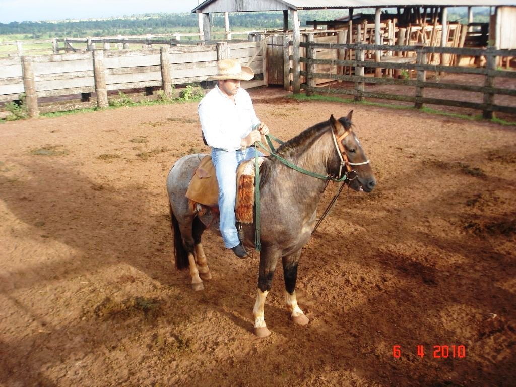 Bonito Pantanal MS: Recanto Ecológico Rio da Prata inicia criação de ...