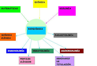 MAPA MENTAL DE LA RELACIÓN DE LA BIOQUÍMICA CON OTRAS CIENCIAS Y ...