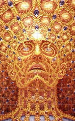 Alucinógenos (Hongos, Peyote, LSD)