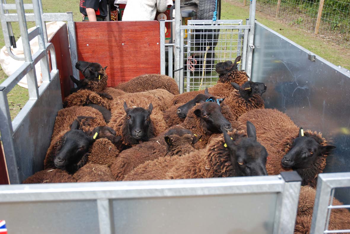 tinyfarmer