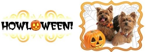 Blog Archives - lasopabeta