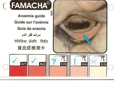 บล็อกชุมทางแพะ: FAMACHA© chart
