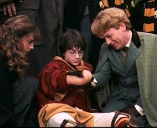 Discovering Harry: Chamber of Secrets Chapter 10