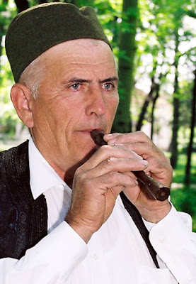 Народни музички инструменти у Србији: Дипле