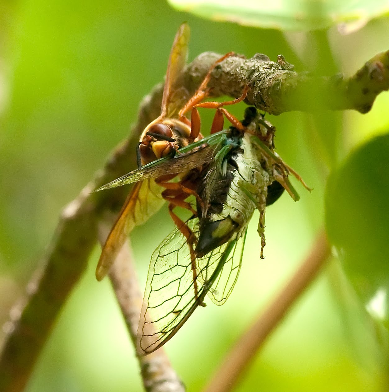 Zen Through a Lens: Color Me Beautiful
