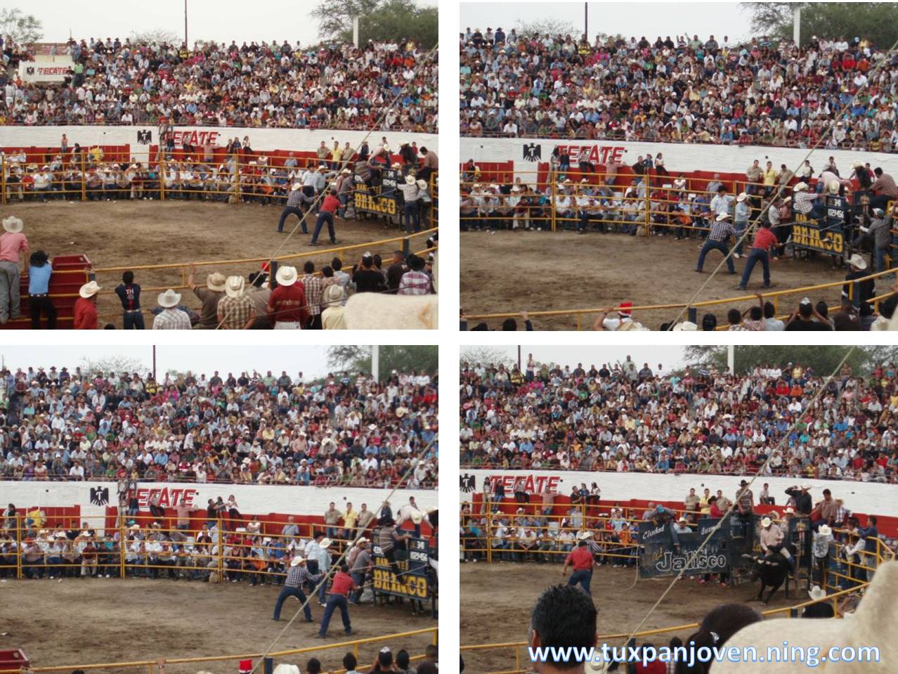 FERIA TUXPAN 2019: JARIPEO TORO EL CATRIN FERIA TUXPAN 2010 - 16 DE ...
