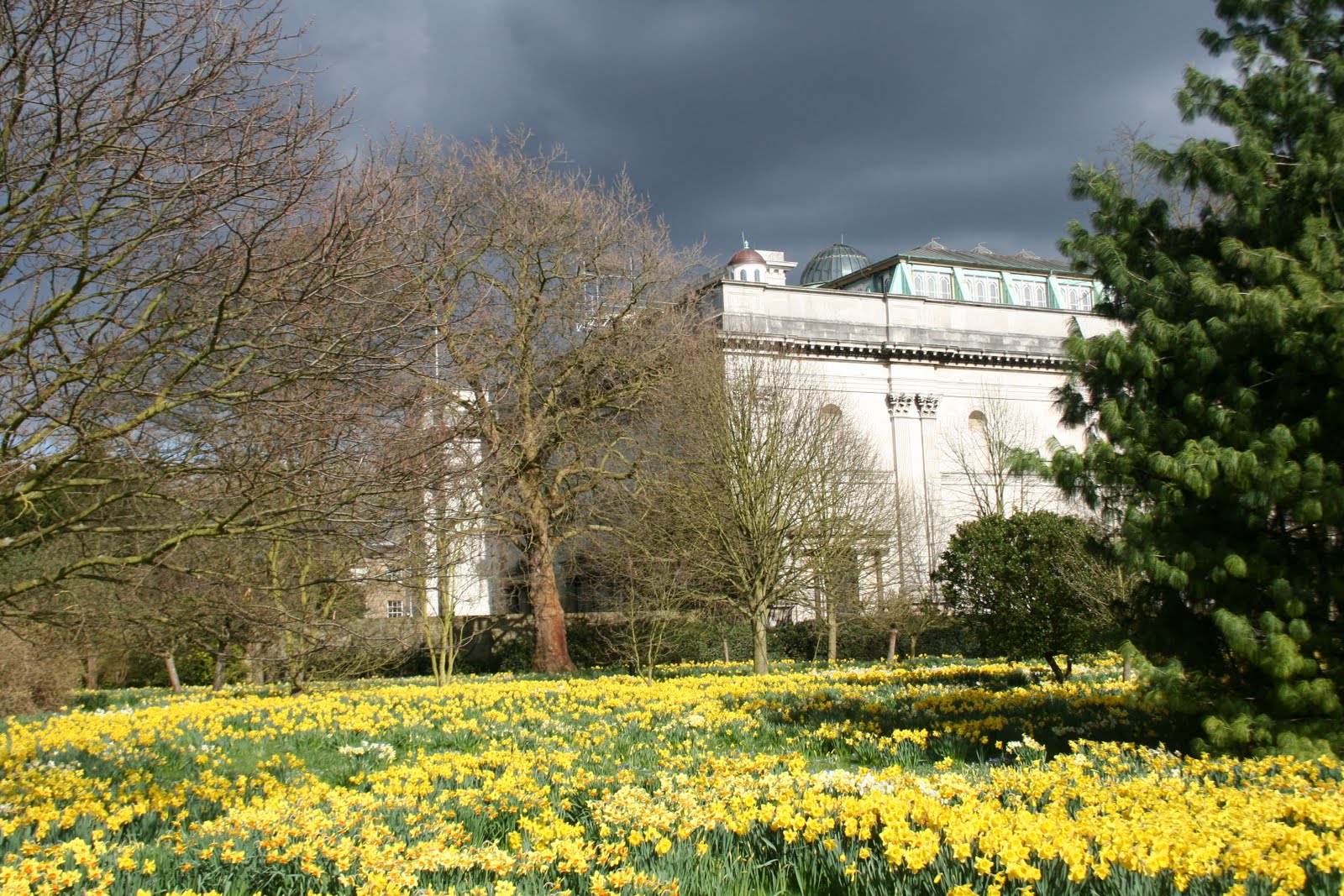 A Cantabrigian Life: Easter in Cambridge, Thanksgiving in Easter