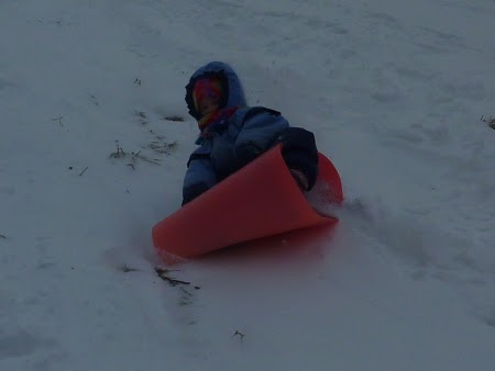 The Knitty Gritty Homestead: Toboggans and Crazy Carpets