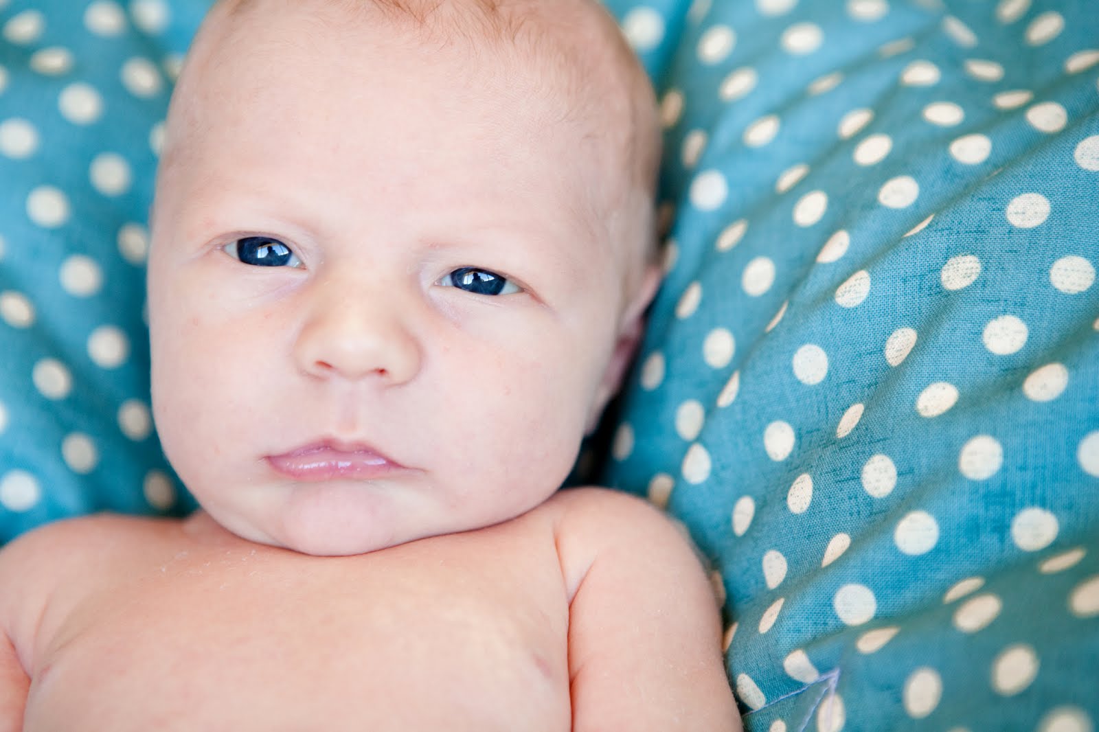 Vivid by Annie: Baby Ryan