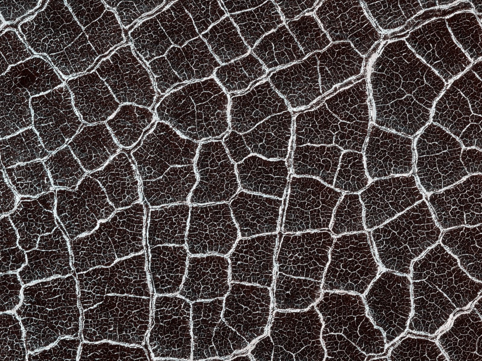 Areology: Polygonal Patterned Ground