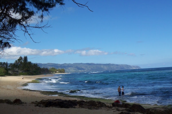 Sizzler Hawaii | Hawaii Restaurants | Honolulu Good Food | Hawaii ...