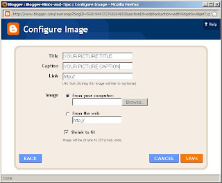 Putting a picture on your blog as a Gadget | Blogger-Hints-and-Tips
