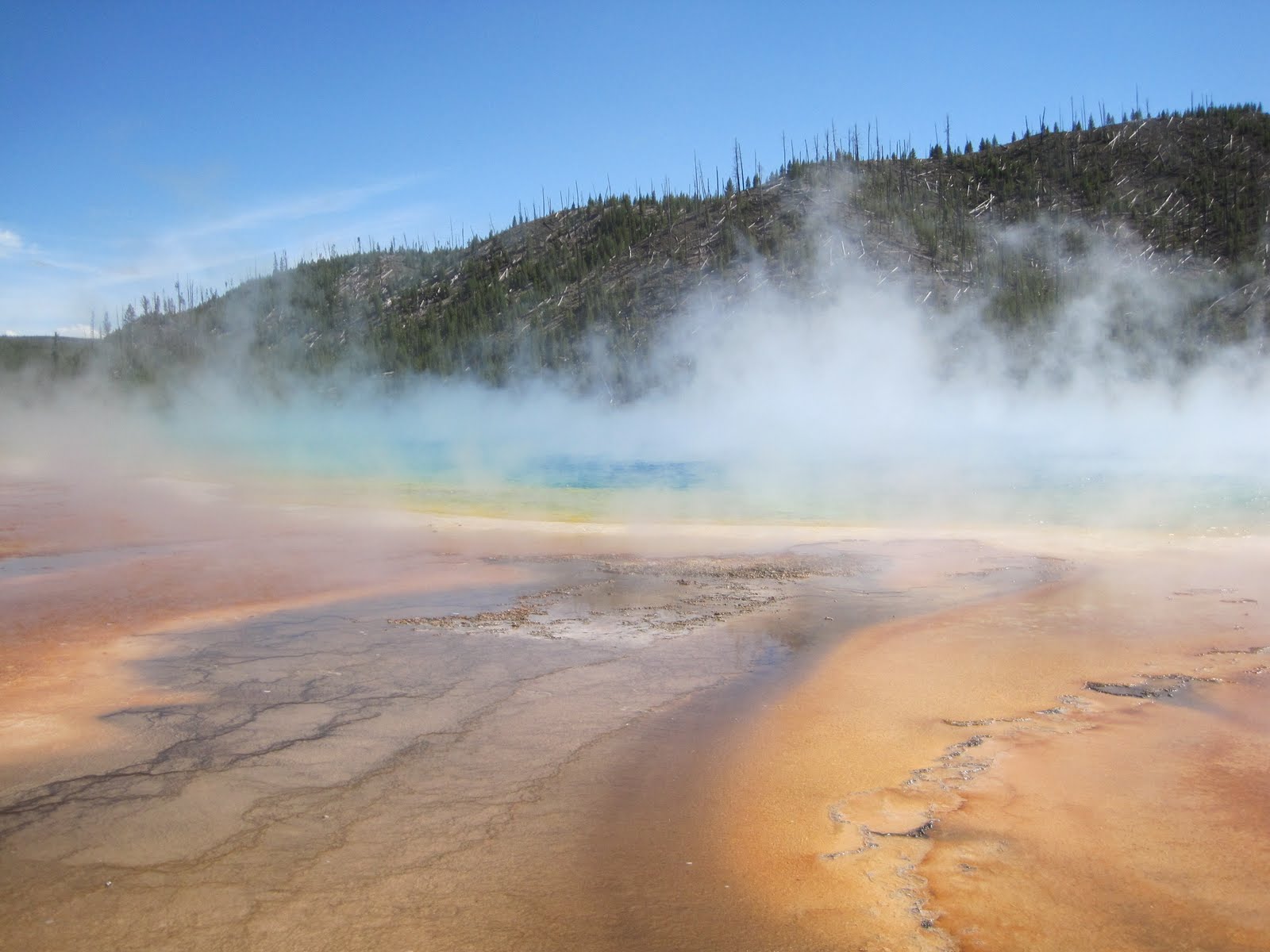 Adventures in Everything: Adventures in Yellowstone!