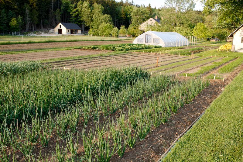 Growing the Growers Filming Trip: The Farm