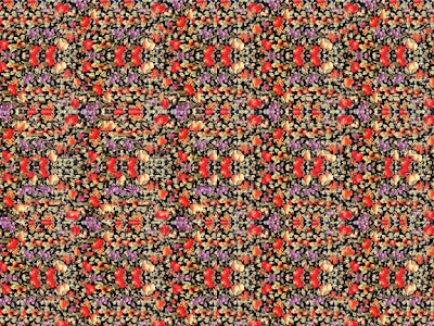 Exprime toi !!! Dis le ...: Les autostéréogrammes...