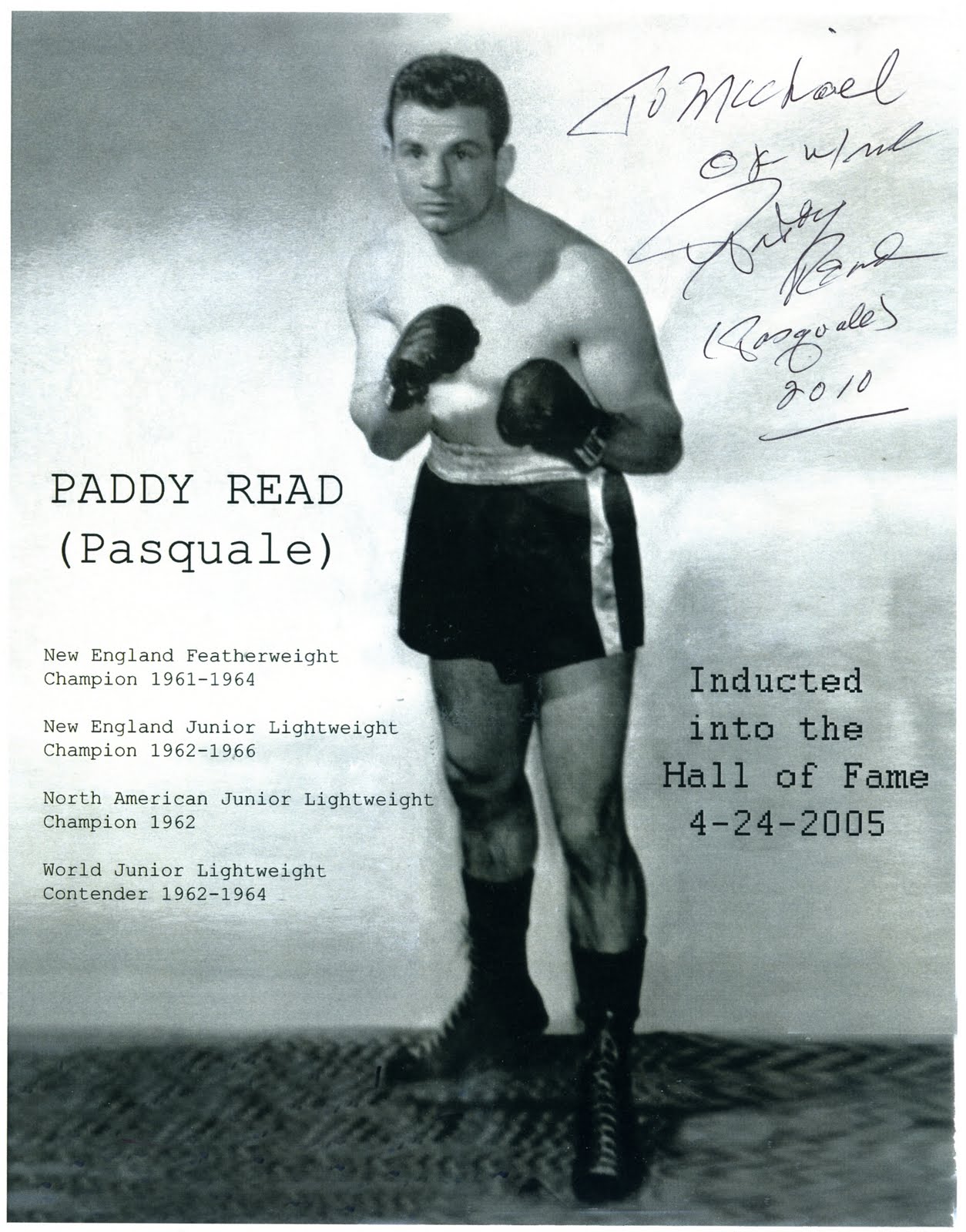 RETRO Rhode Island: Paddy Read - Pasquale