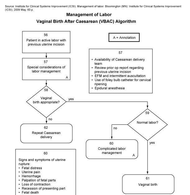Trivent Legal - Medical Record Summaries: Practice Guidelines: ACOG ...